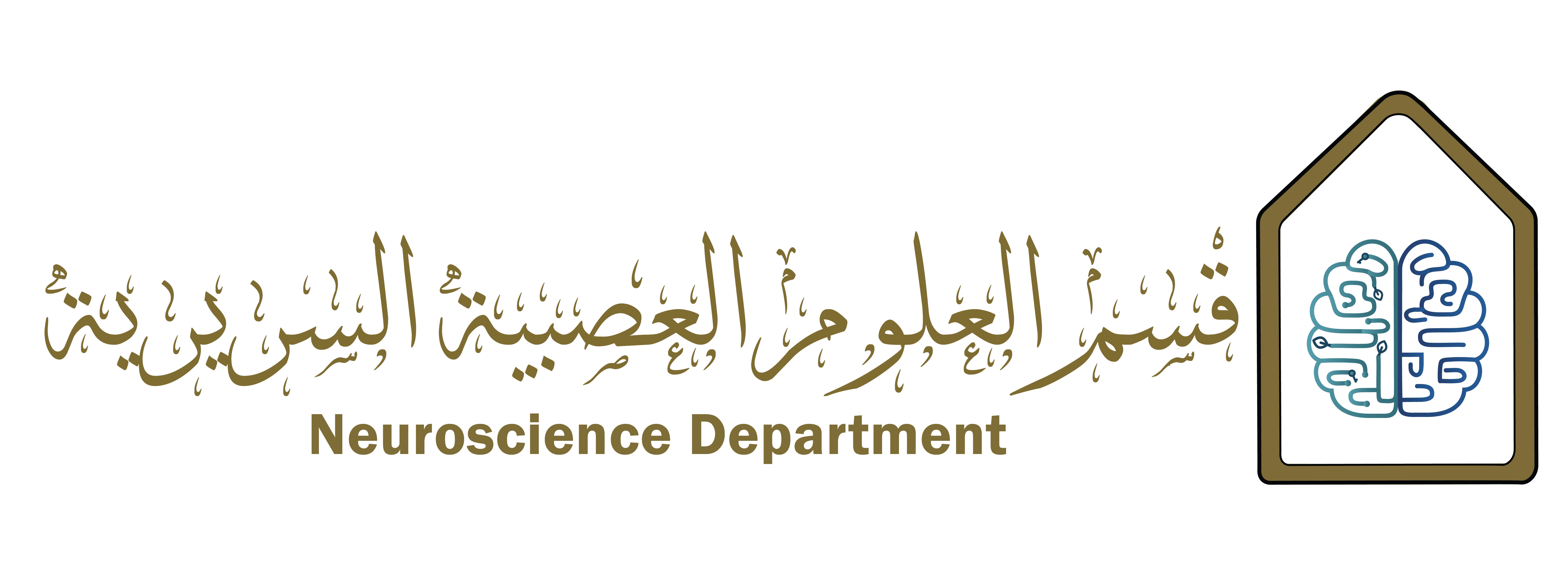 الصفحة الرئيسية