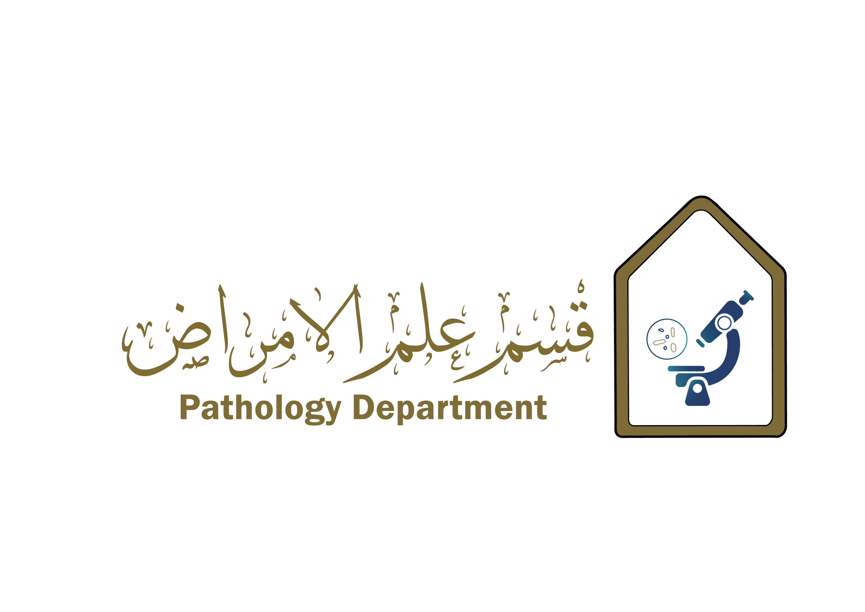 الصفحة الرئيسية